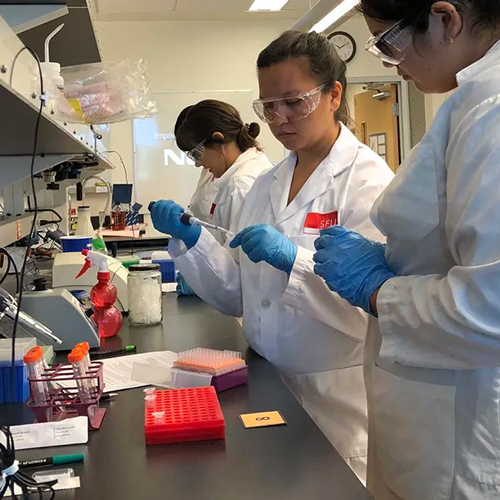 Resources - SING Canada